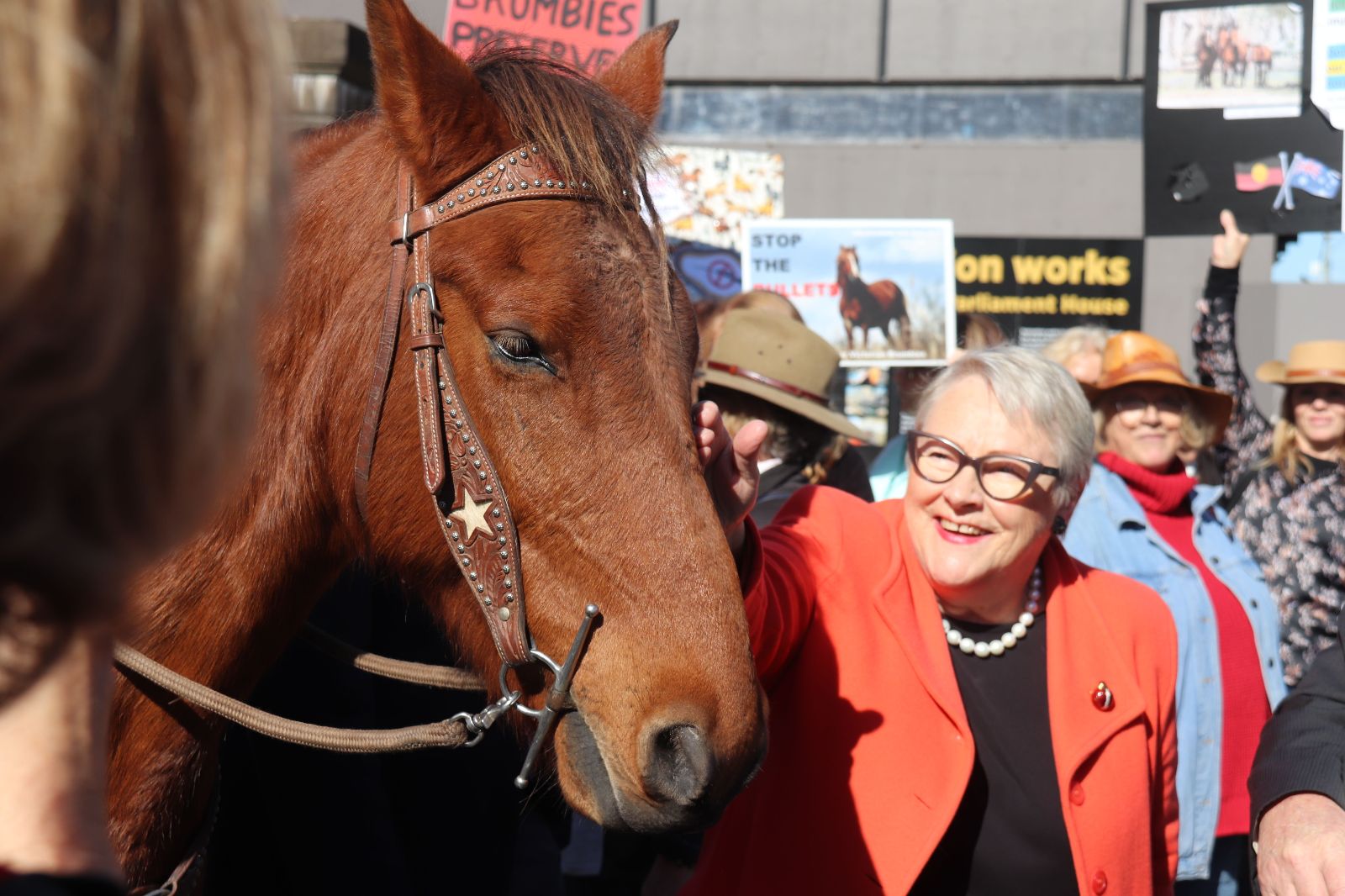 Media Statement: No Brumby Counts And Avoidance Of Simple Questions